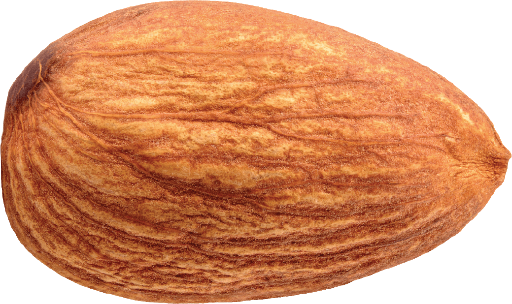 munchme – All natural, plant-based wholefood snacks.