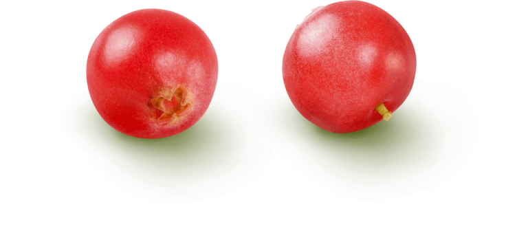 munchme – Where to buy our all natural, plant-based wholefood snacks.