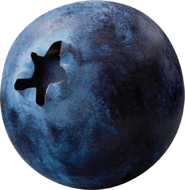 munchme – All natural, plant-based wholefood snacks.