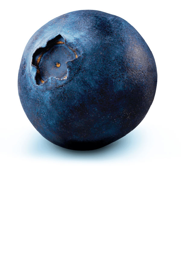 munchme – Get the facts about our natural, plant-based wholefood snacks.